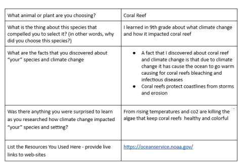 Writing your first climate story | My Climate Story